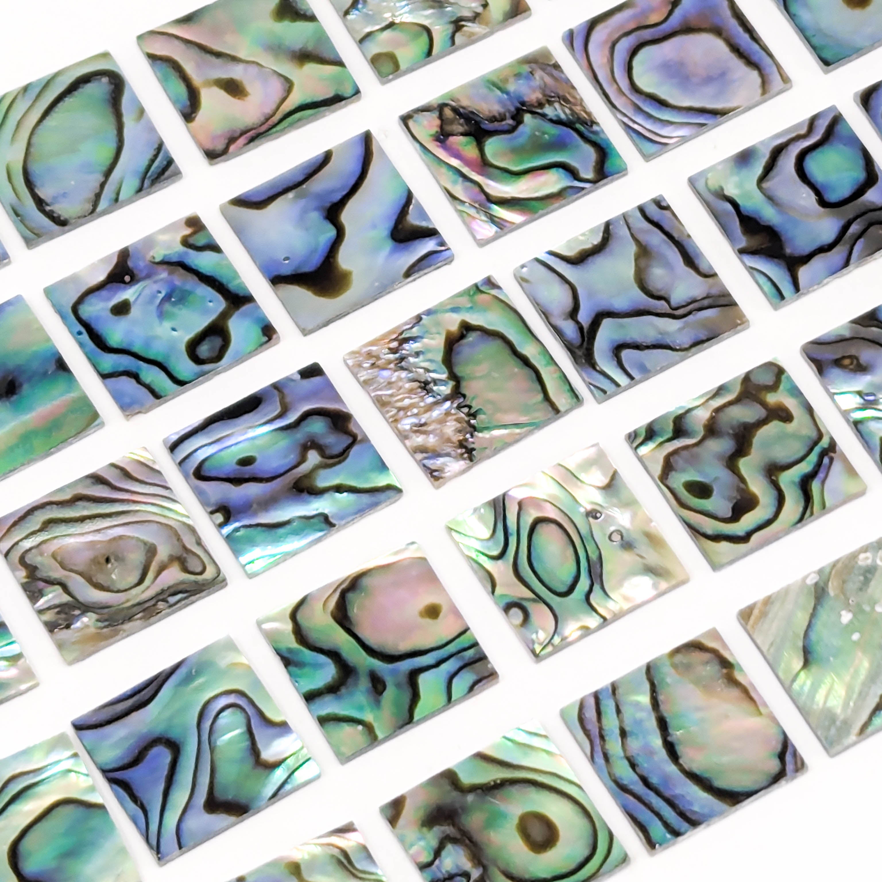 Abalone Shell - Square Sheets