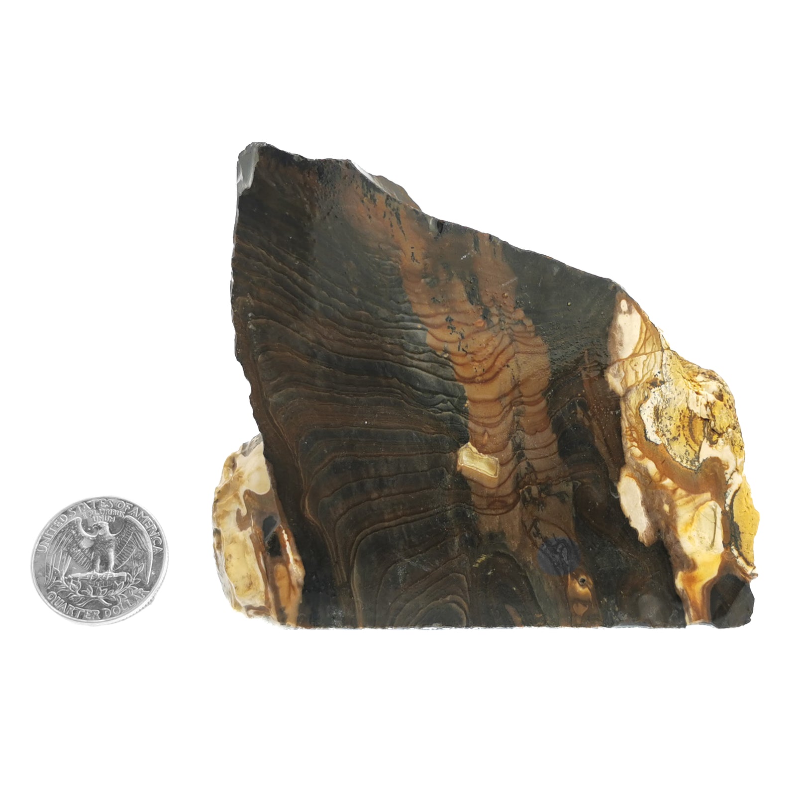 Biggs Jasper - Rough