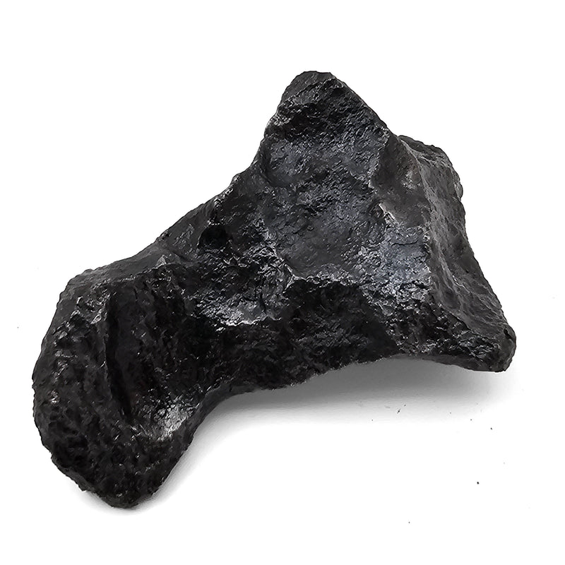 Campo Del Cielo Meteorite Fragment - Specimen