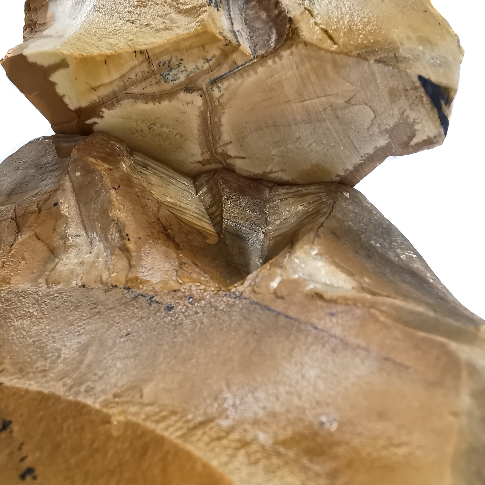 Owyhee Jasper - Rough