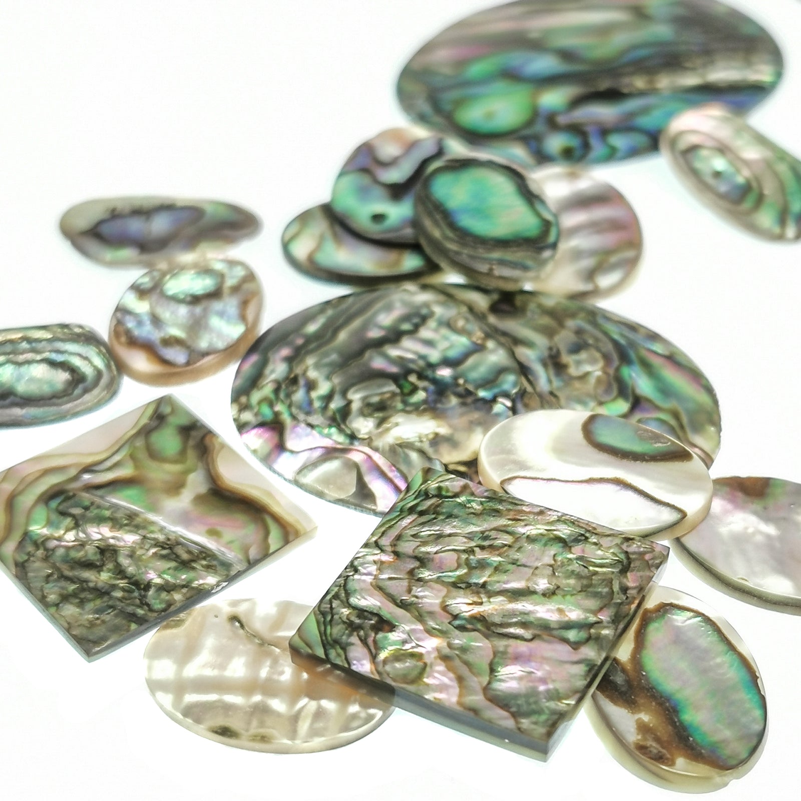 Abalone - Cabochon
