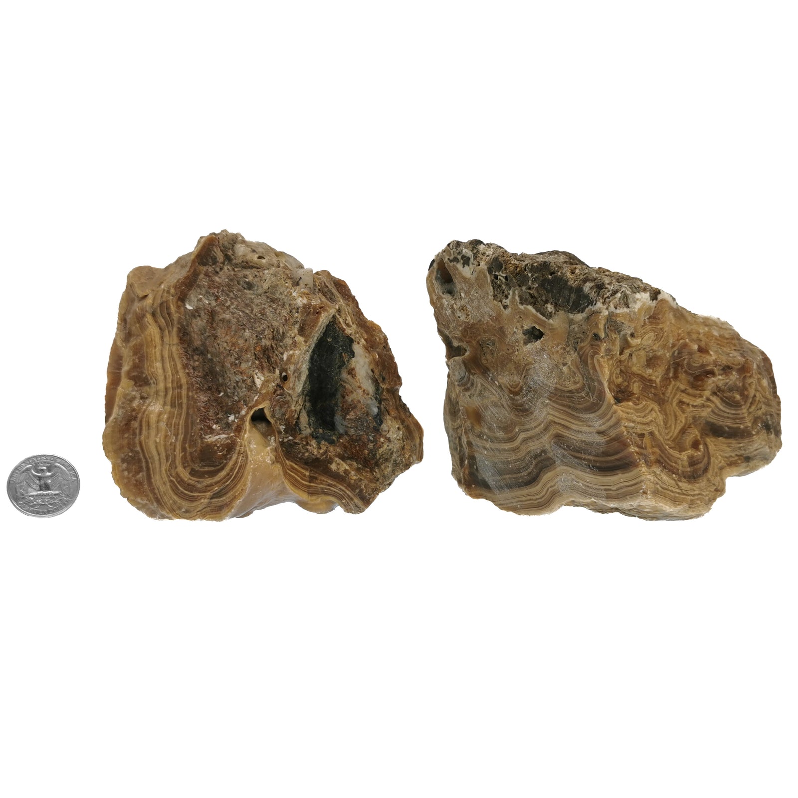 Banded Honey Onyx - Rough