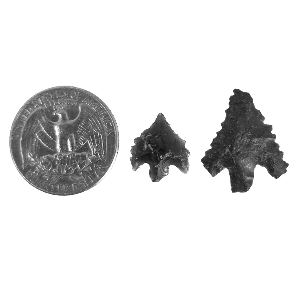 Bird Point (Authentic) - Arrowheads