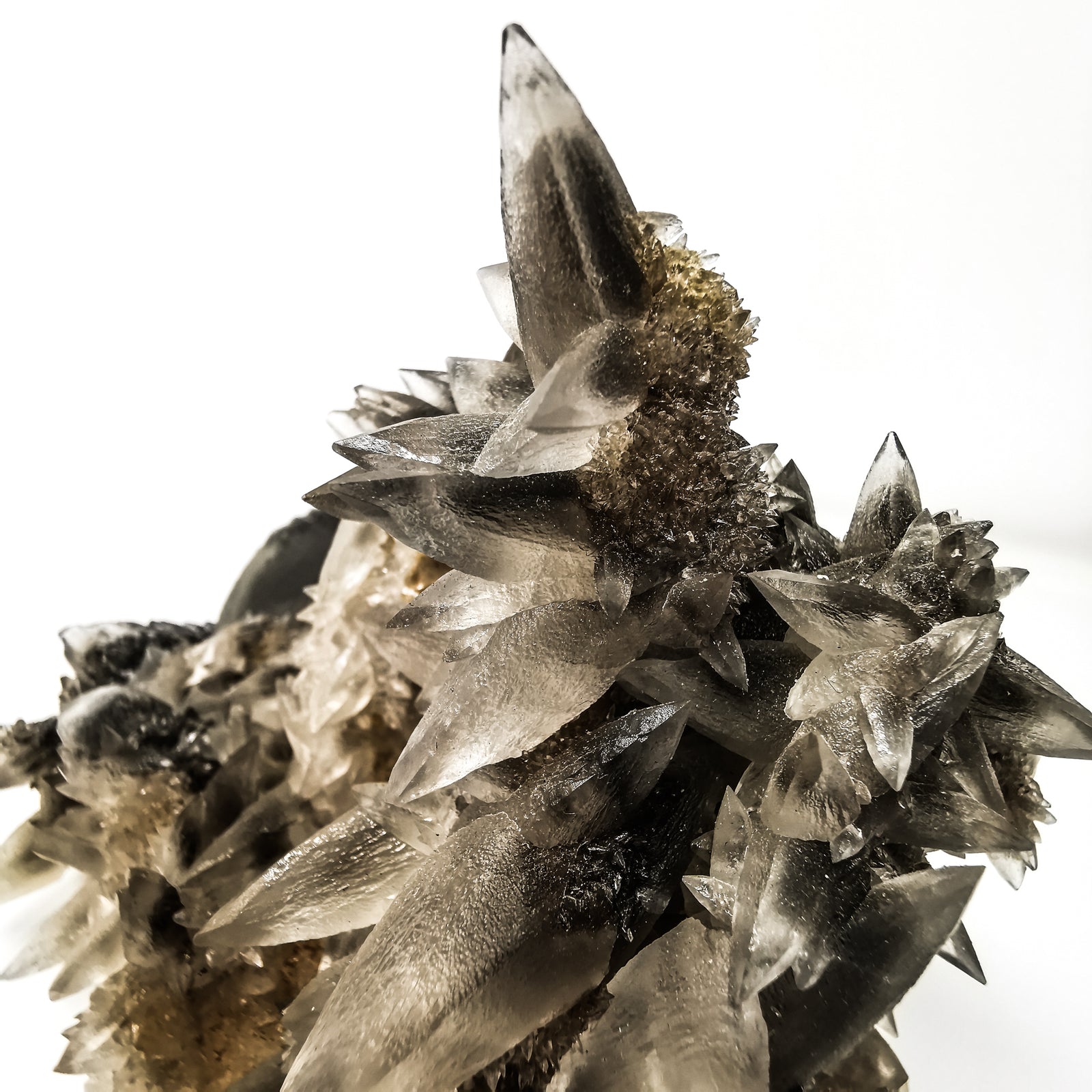 Black Dogtooth Calcite - Mineral Specimen