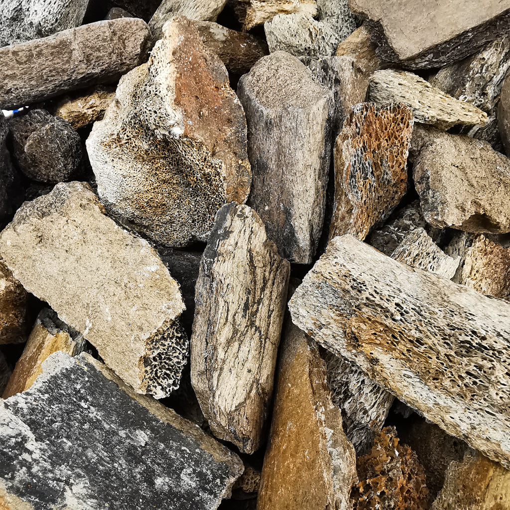 Mammoth Bone Shards - Fossil