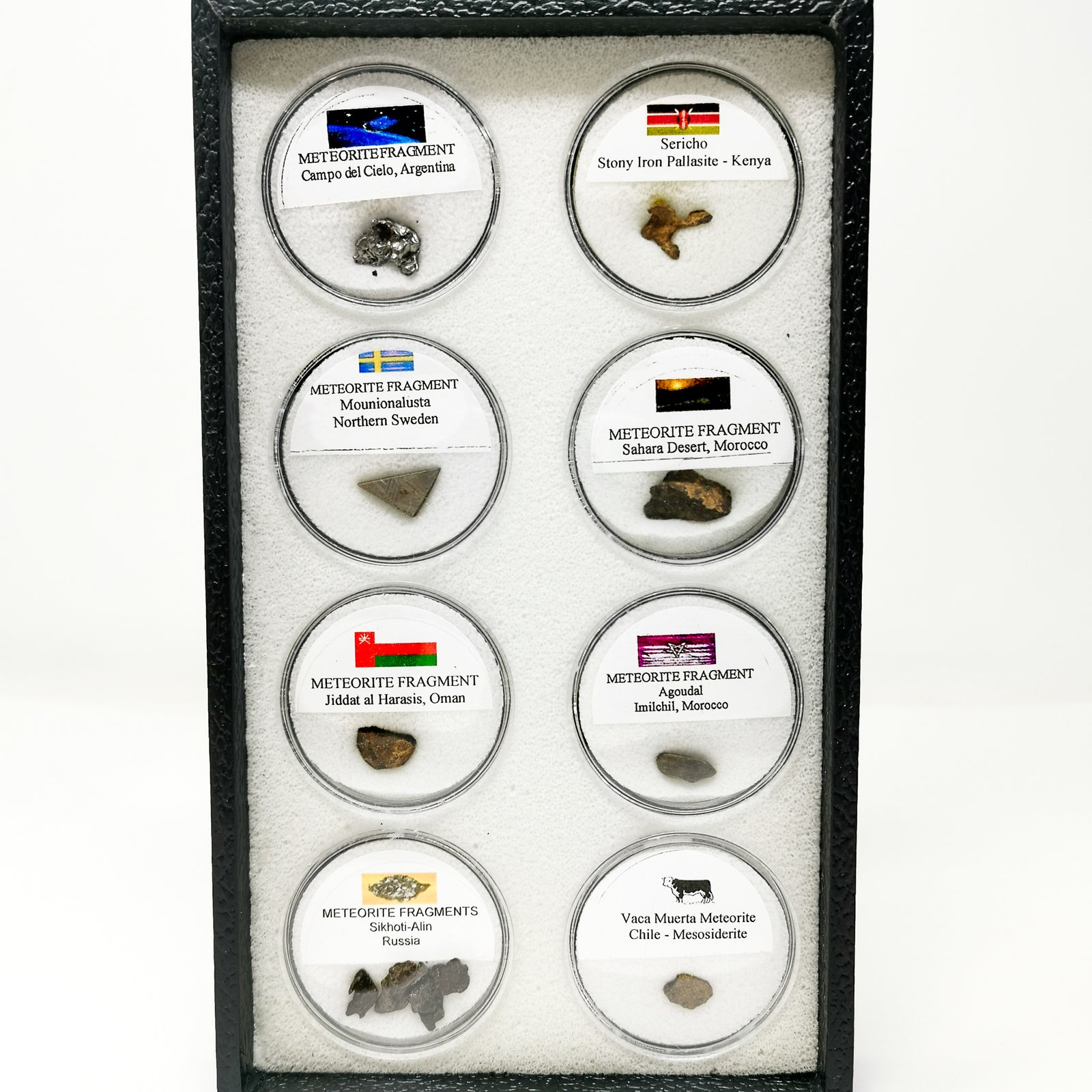 Meteorite Sample Set - Raw