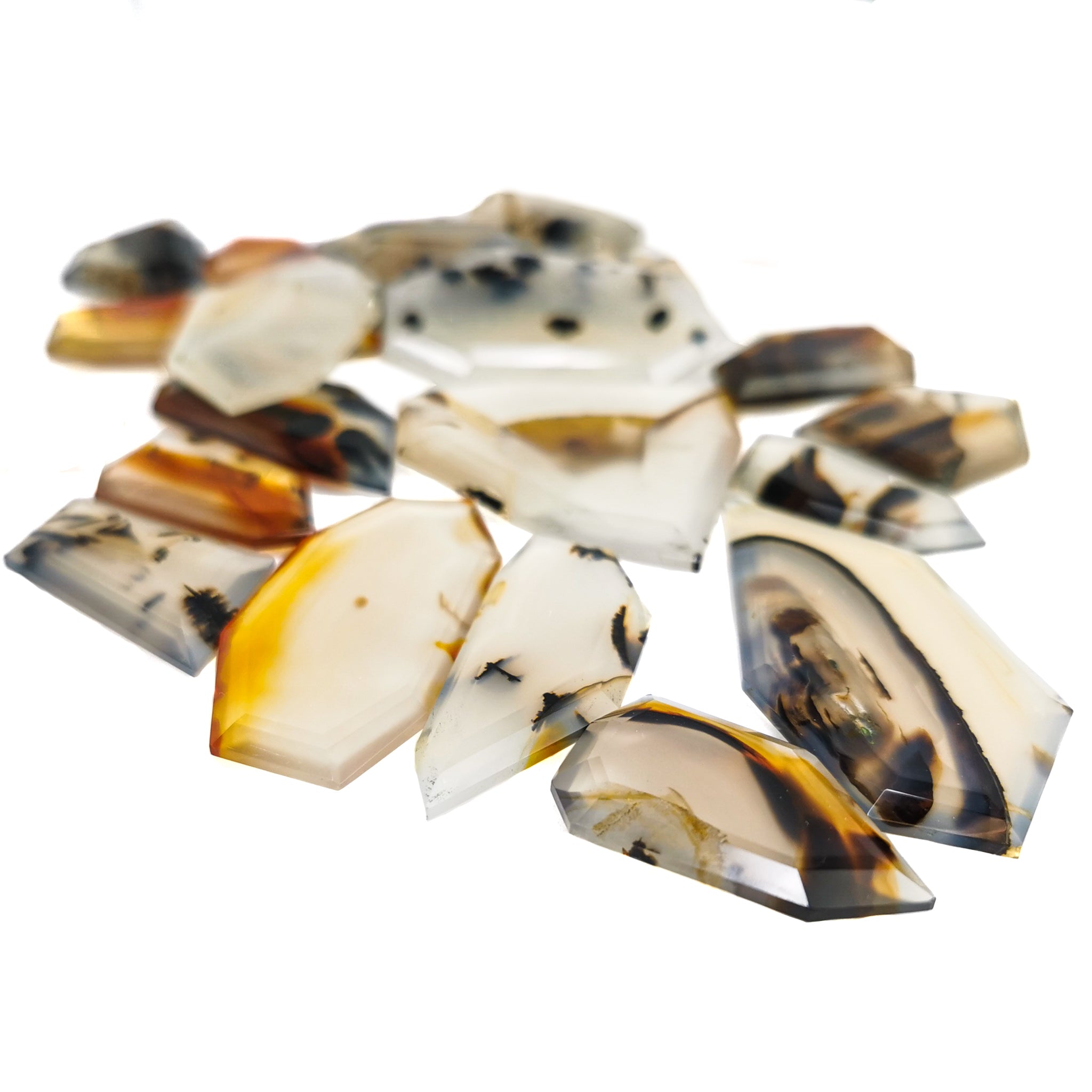 Montana Agate - Window Cut