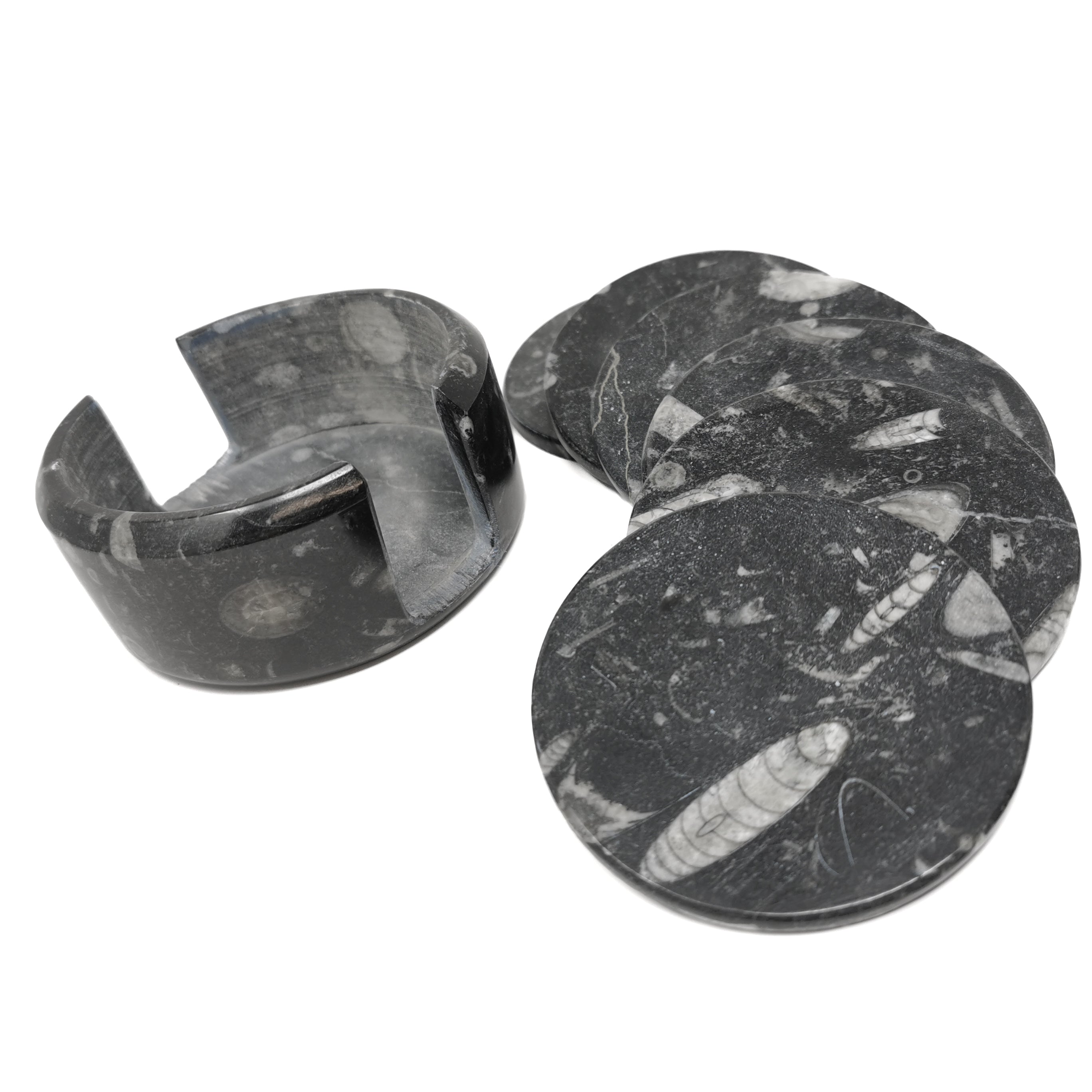Orthoceras Coasters - Fossil