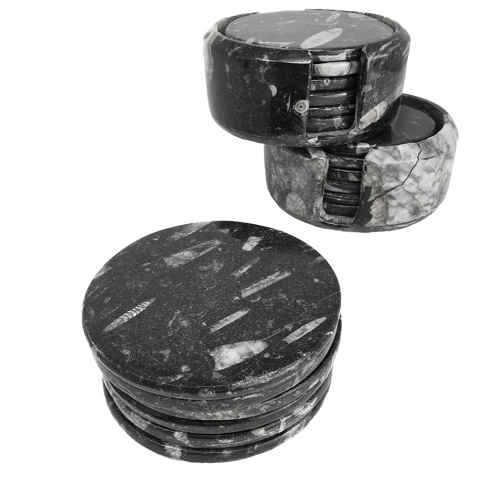 Orthoceras Coasters - Fossil