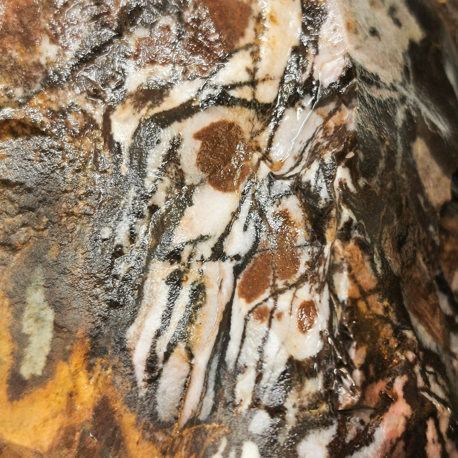 Outback Jasper - Rough Rock
