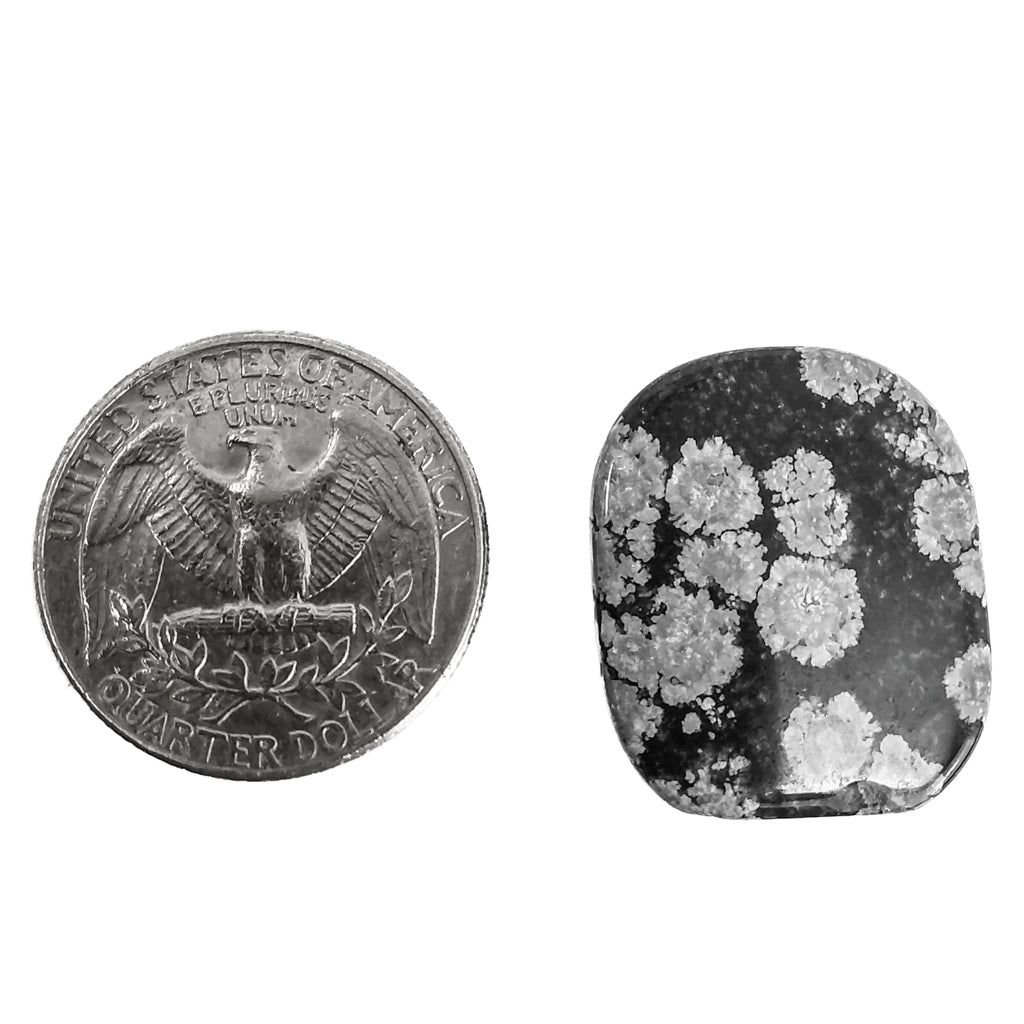 Snowflake Obsidian - Flat Tumble