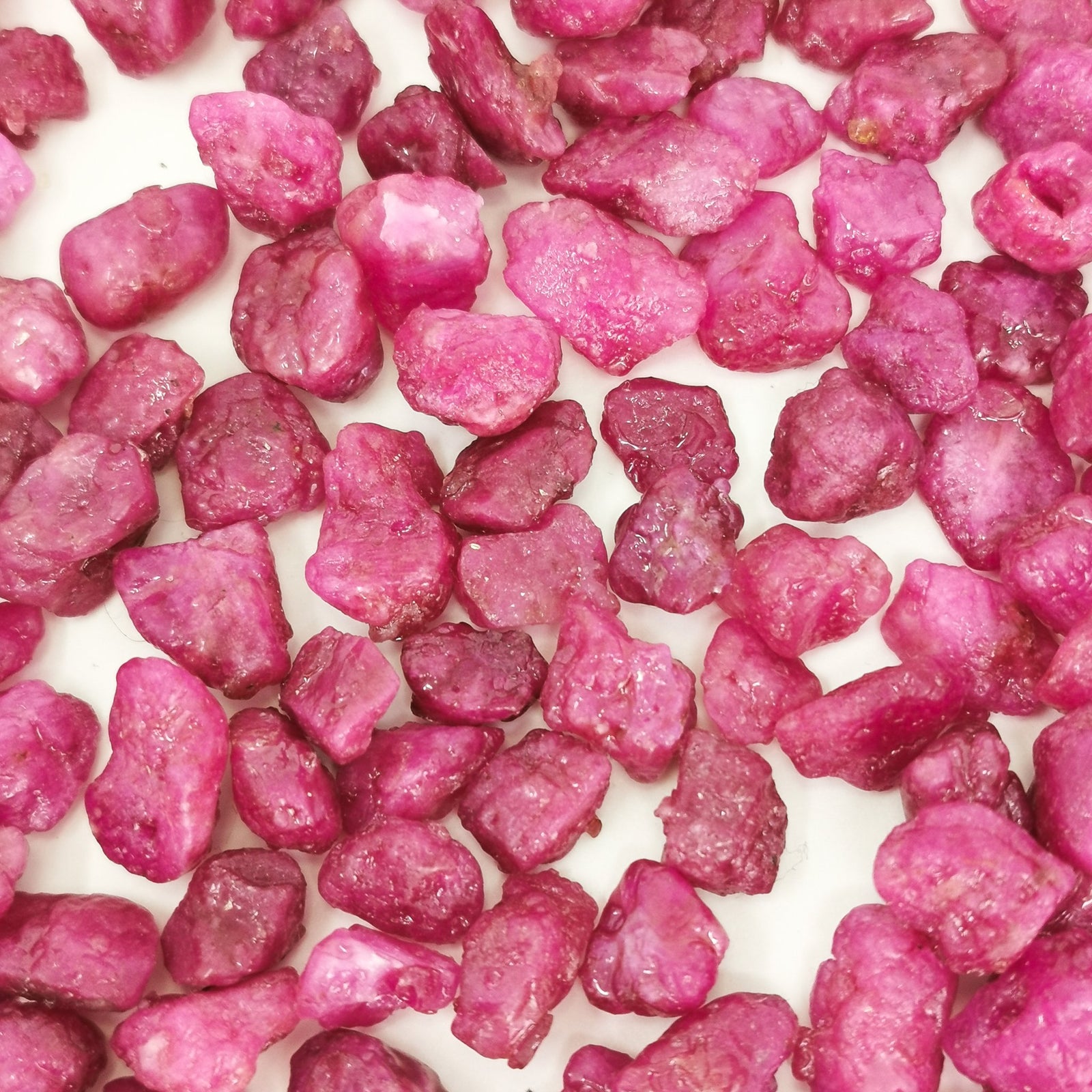 Vietnamese Ruby - Glass Filled - Raw